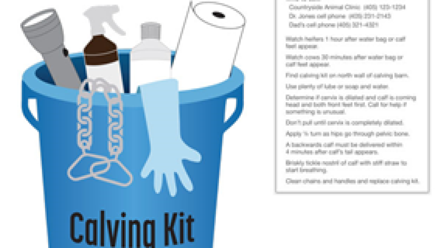 Prepare for Winter Calving in 2024