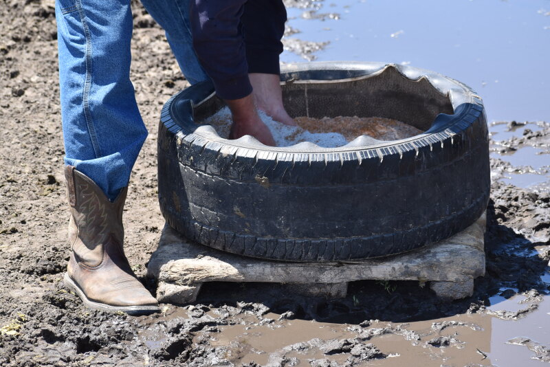 Choose the Best Cattle Mineral Supplementation for Your Operation - Drovers
