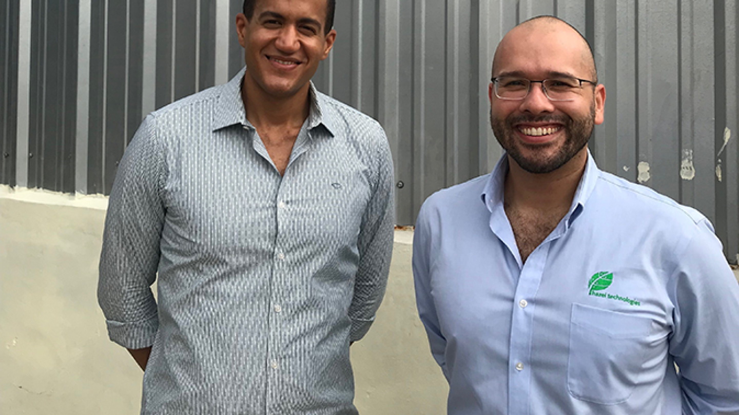 Avocado shipper slows ripening with Hazel Technologies - The Packer