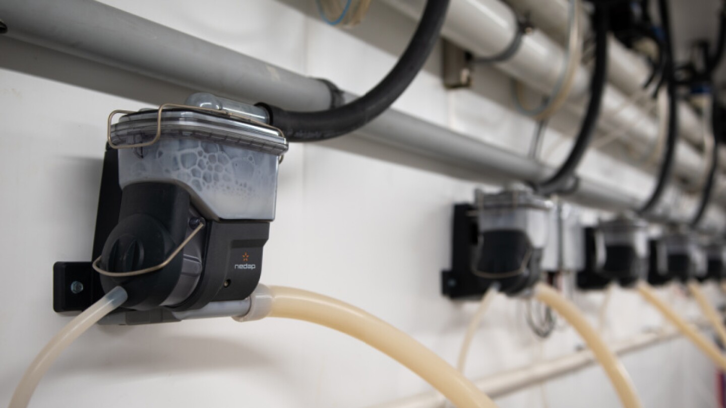 Data and Technology Help Wisconsin Dairy Go With the Flow - Dairy Herd