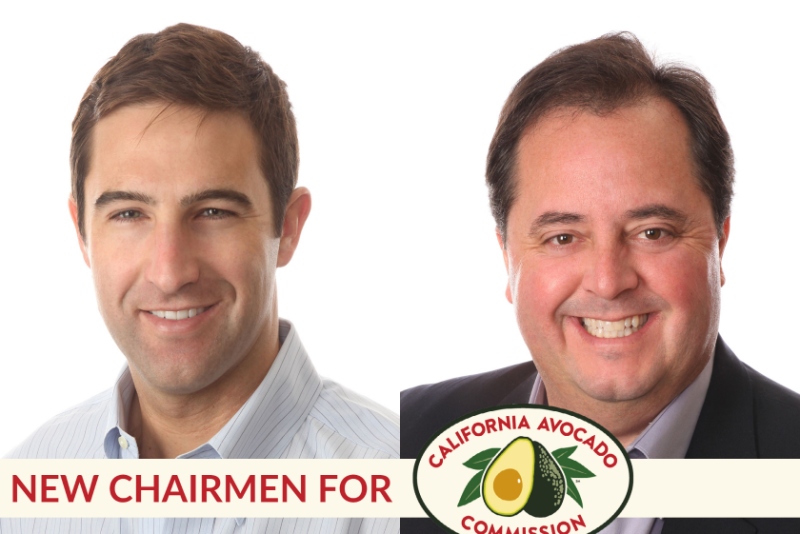 California Avocado Commission appoints executive committee - The Packer