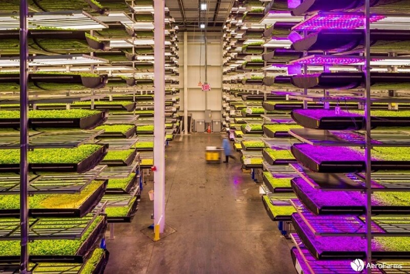 indoor farm