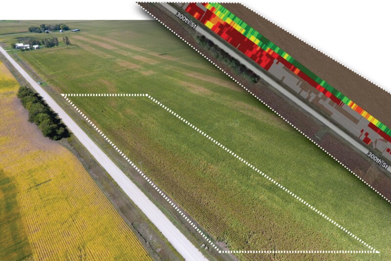 Corn Yield Losses to ‘Edge Effect’ Elevated by Contrary Micro-Climate ...