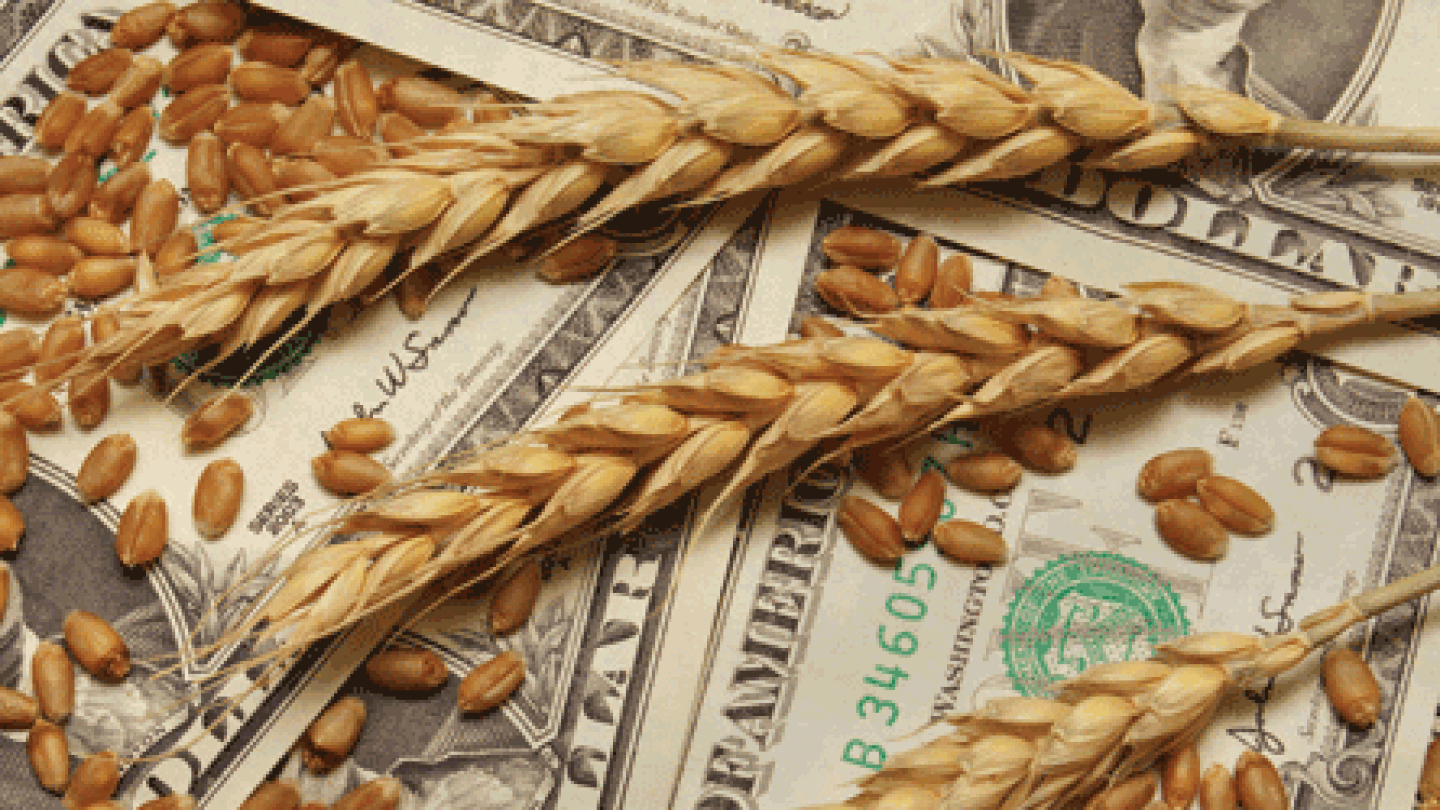 3 Strategies For Weathering Years Of Low Farm Income - AgWeb