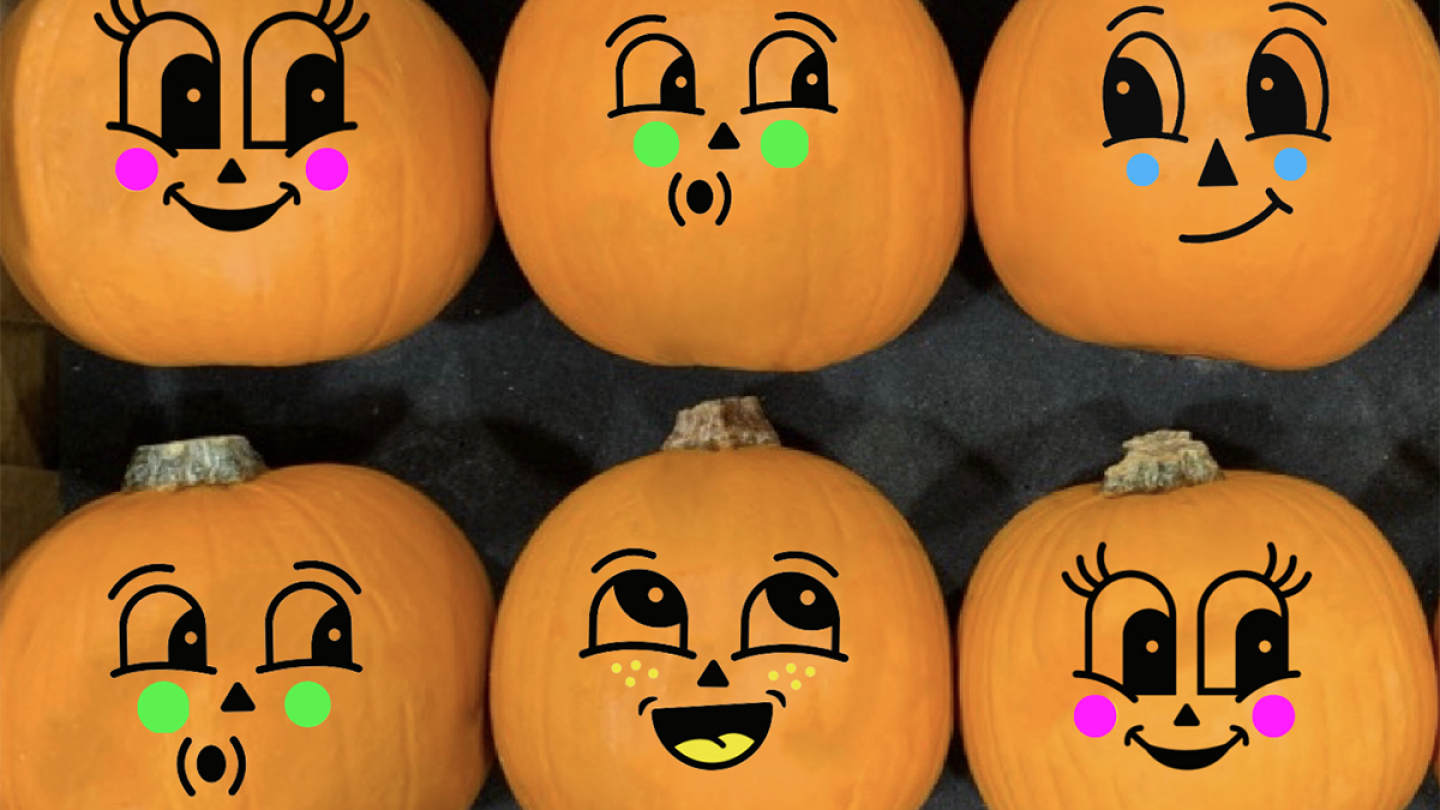 Bay Baby Produce to debut Retro-Kins decorative pumpkins - The Packer ...