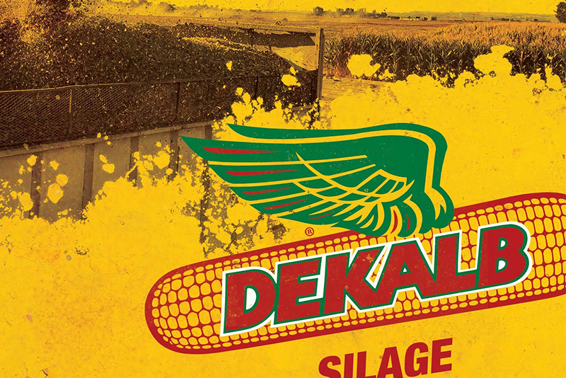 The 2023 Silage Guide Is Now Available - Dairy Herd Management