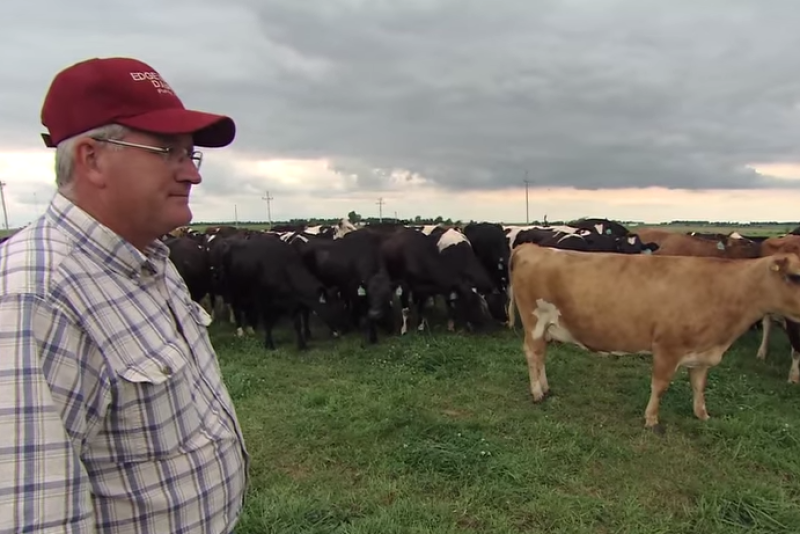 Pasture-based Dairies Provide Management and Lifestyle Choices - Dairy Herd