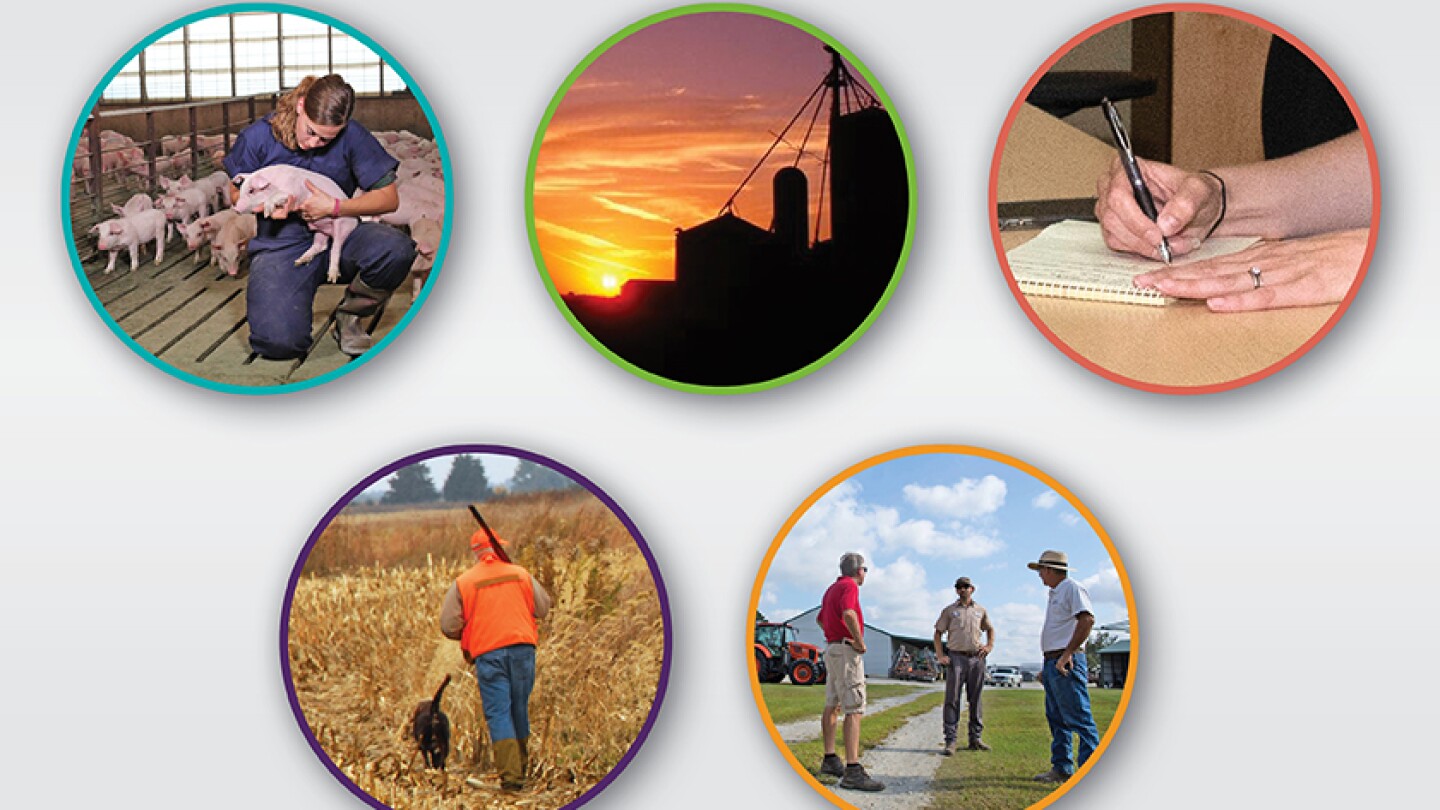 5 Ways to Work Through Difficult Times