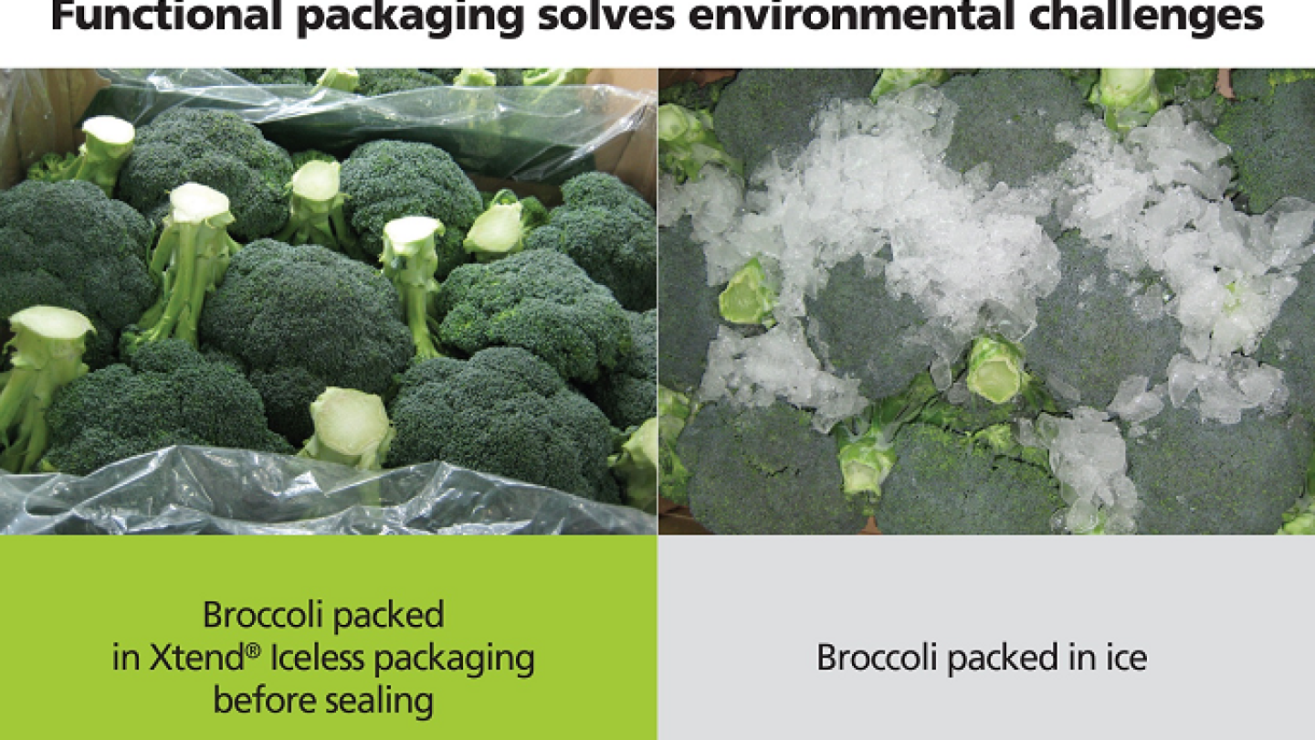 StePac’s Xtend Iceless packaging shifts from traditional method - The ...