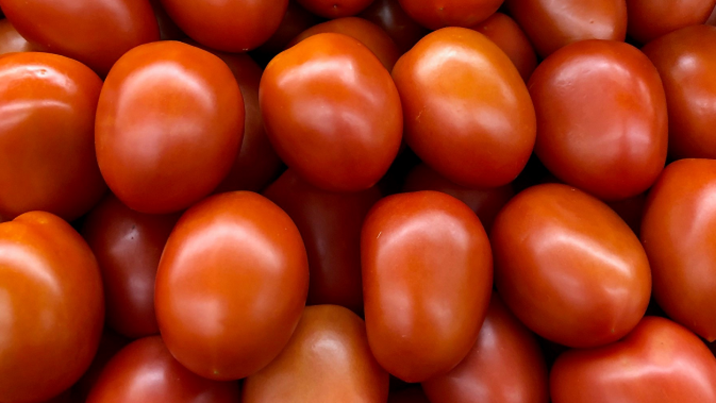 Statements pour in on U.S.-Mexico tomato agreement - The Packer