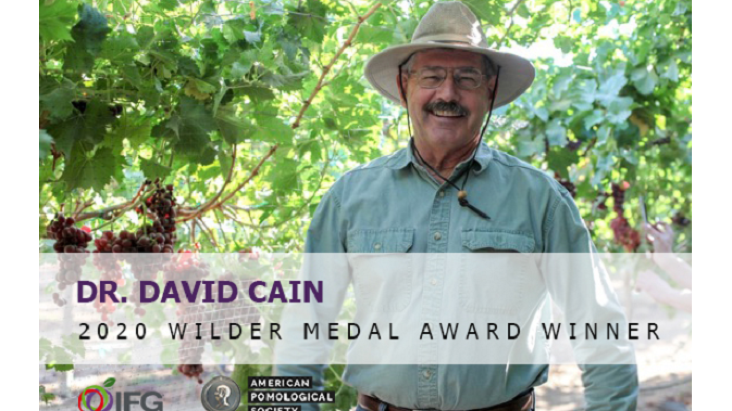 Fruit breeder, IFG founder David Cain recognized for innovation - The ...