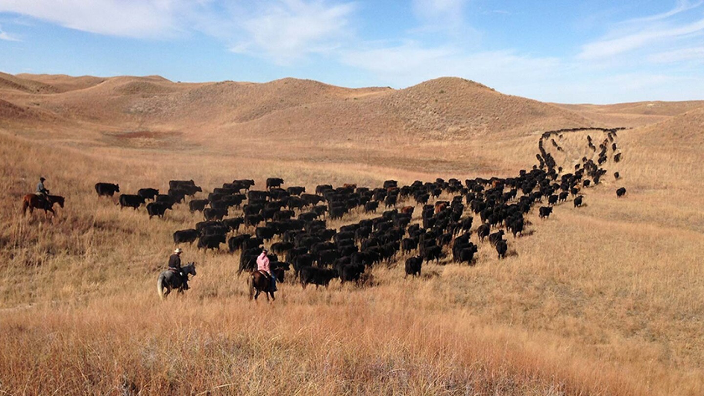 Nebraska’s AL Ranch Listed - The Scoop - Ag Retail News & Solutions for ...