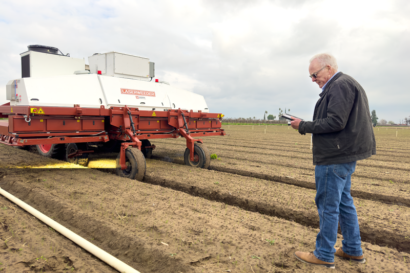 Onion grower turns to laser tech to battle weeds - The Packer - Fruit and Vegetable Industry’s ...