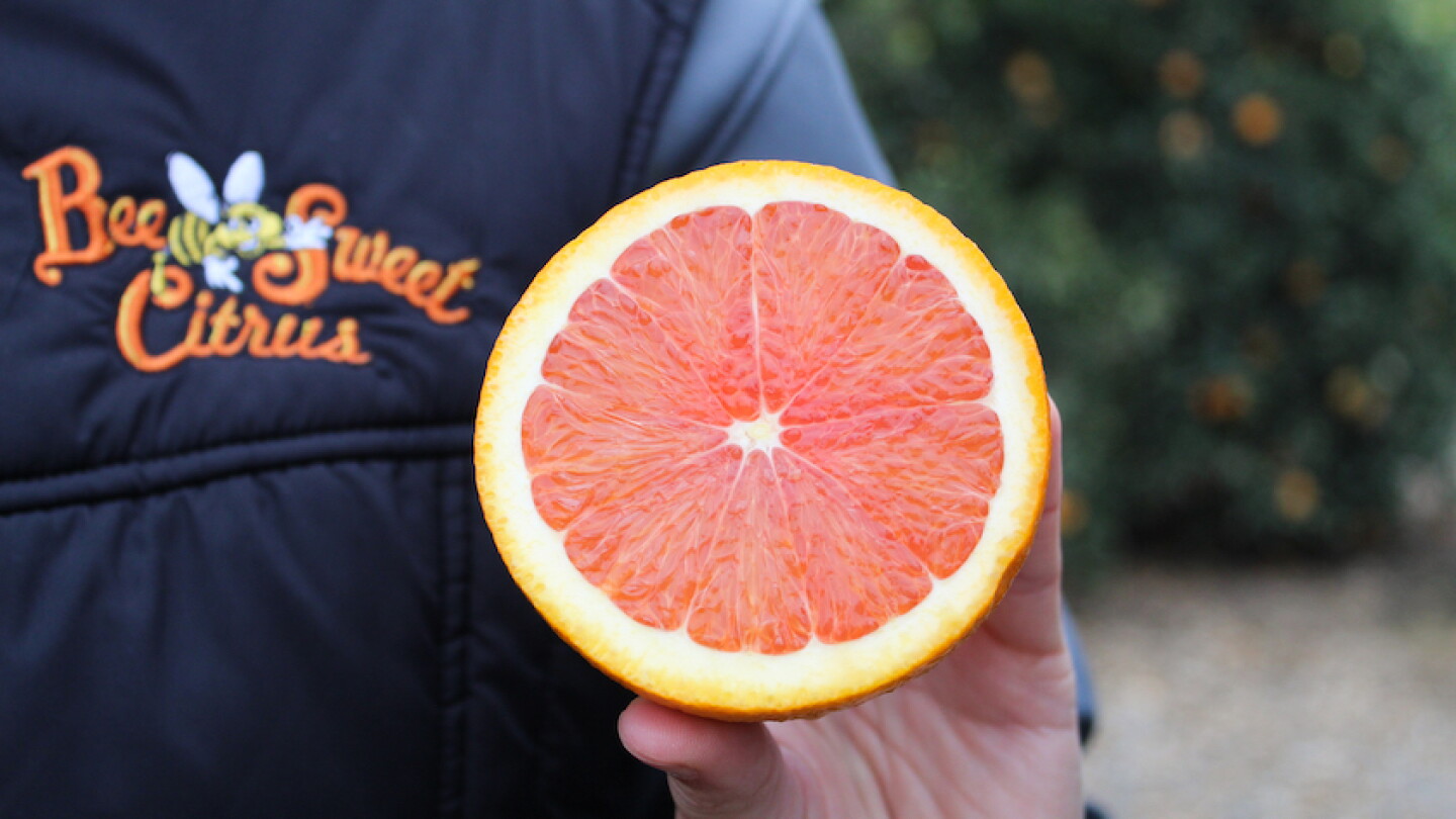 Bee Sweet Citrus offers specialty citrus varieties - The Packer