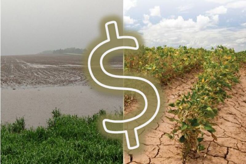 Crop Insurance Affordability at Heart of FARMER Act - AgWeb