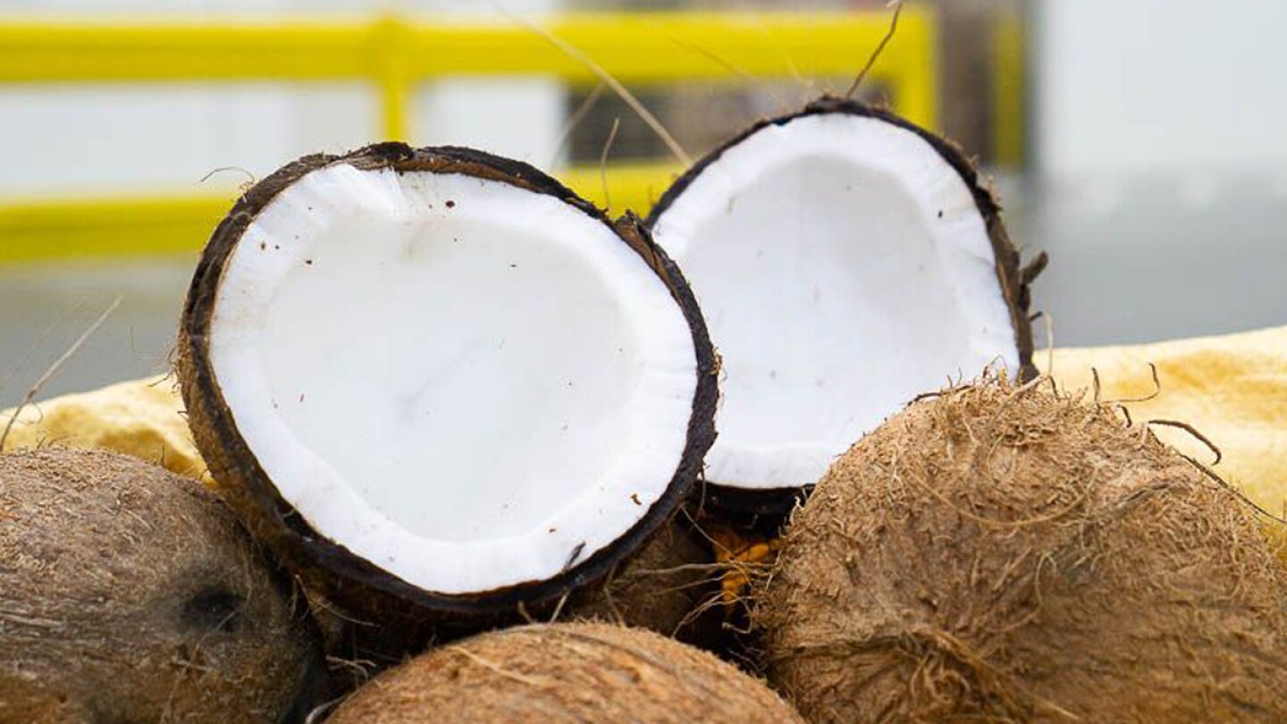 JVI Imports launches brown coconut program direct from India - The Packer