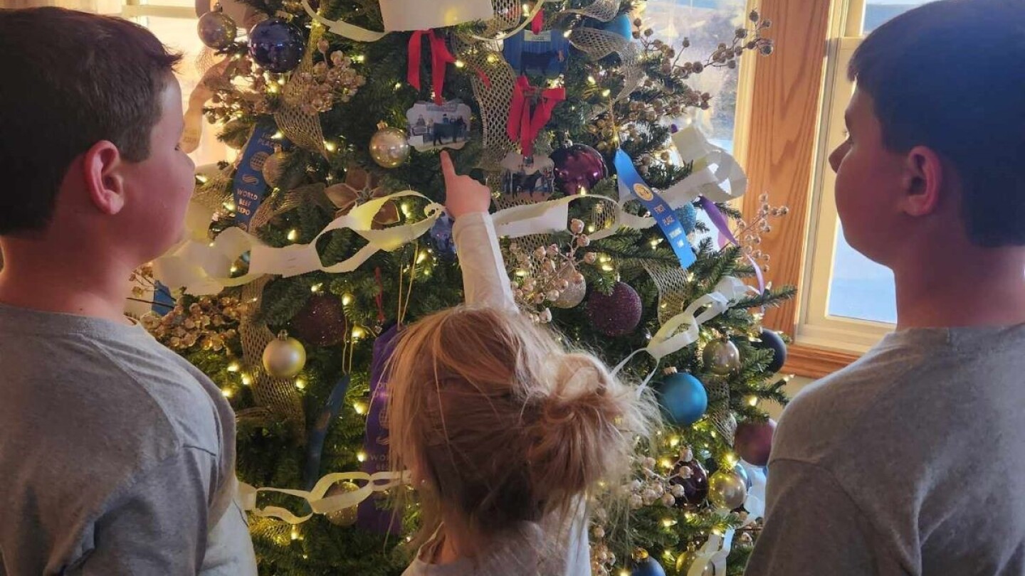 The Best Livestock-Themed Christmas Trees Full of Memories and Meaning ...