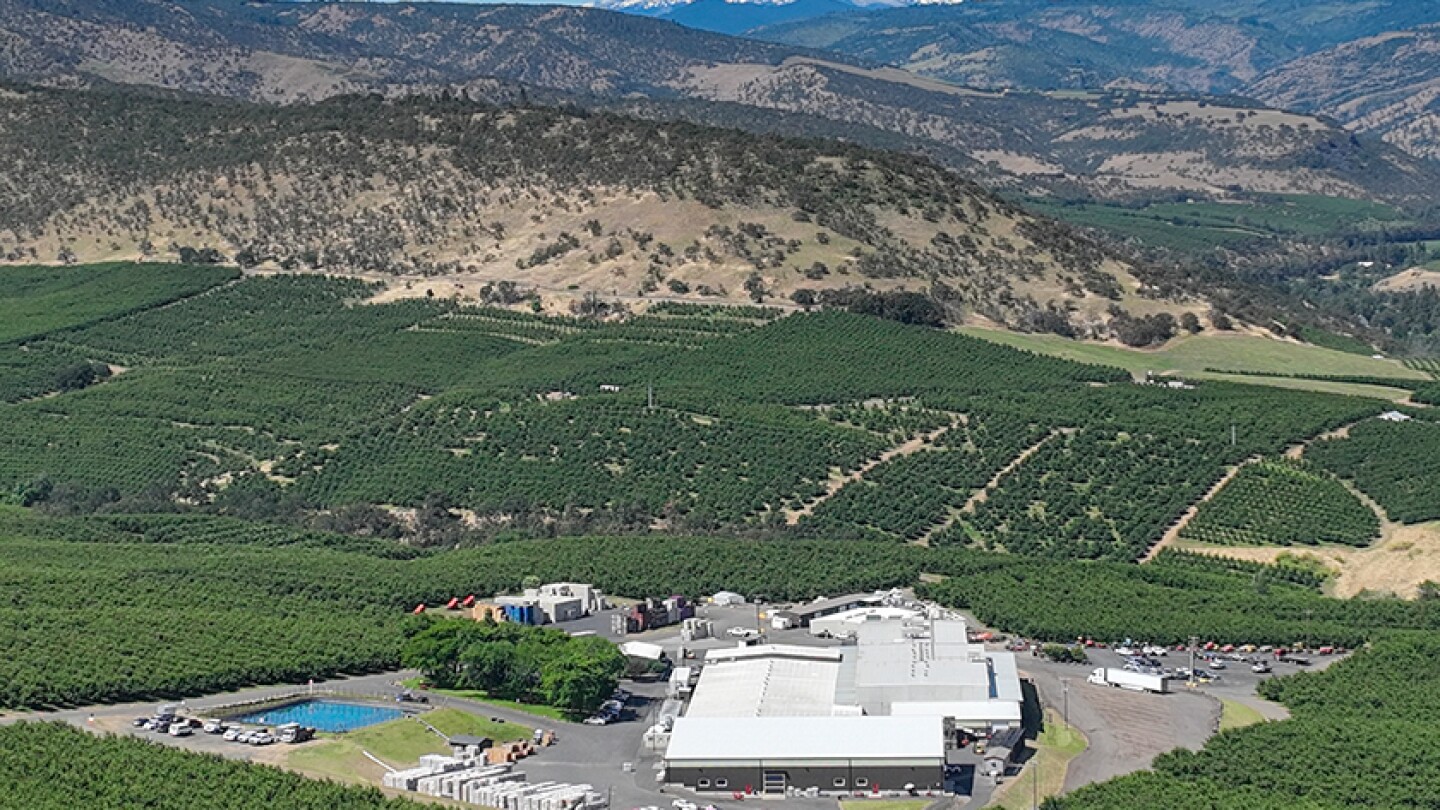 Orchard View expects to mark century of cherries with abundant crop ...
