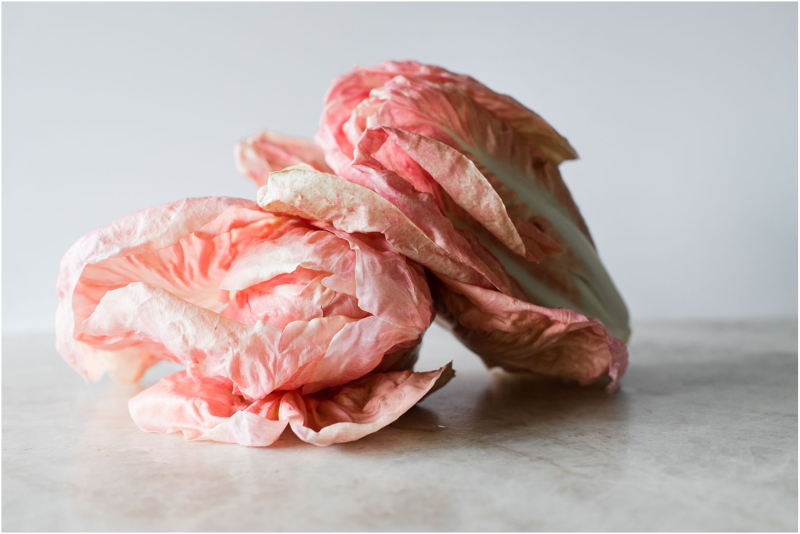 J. Marchini Farms adds radicchio rosa to lineup - The Packer