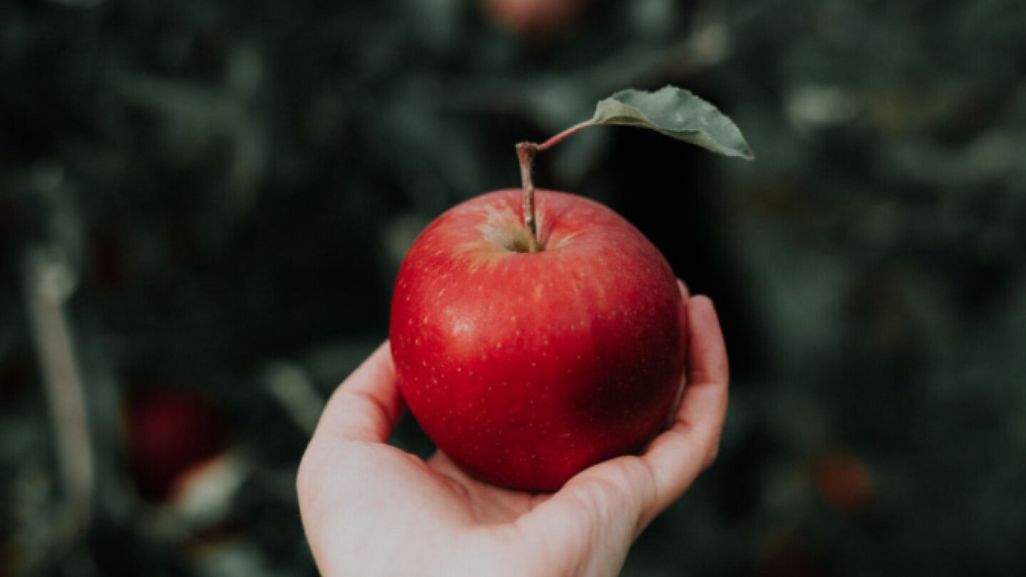 Organic apples continue growth in certain production regions - The Packer