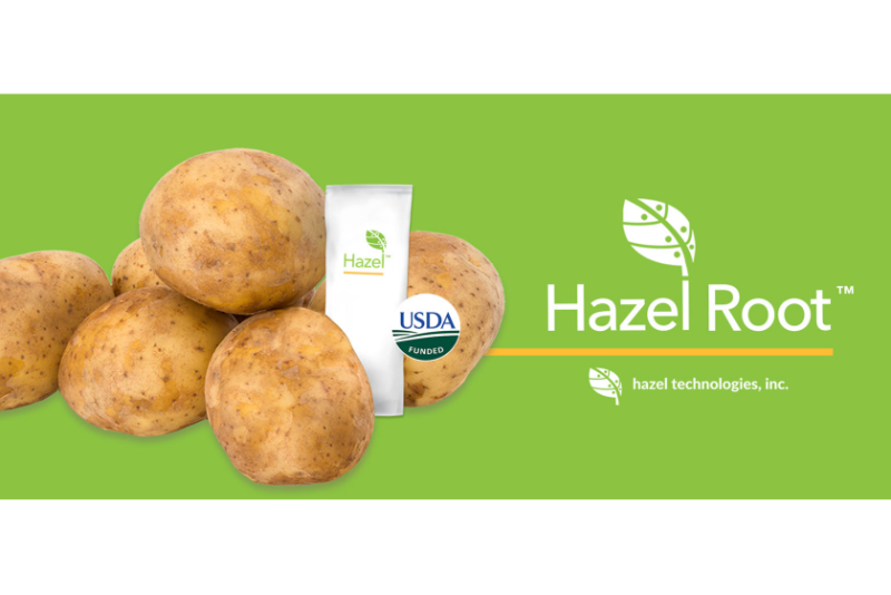 Hazel Technologies product safeguards storage potato quality - The Packer