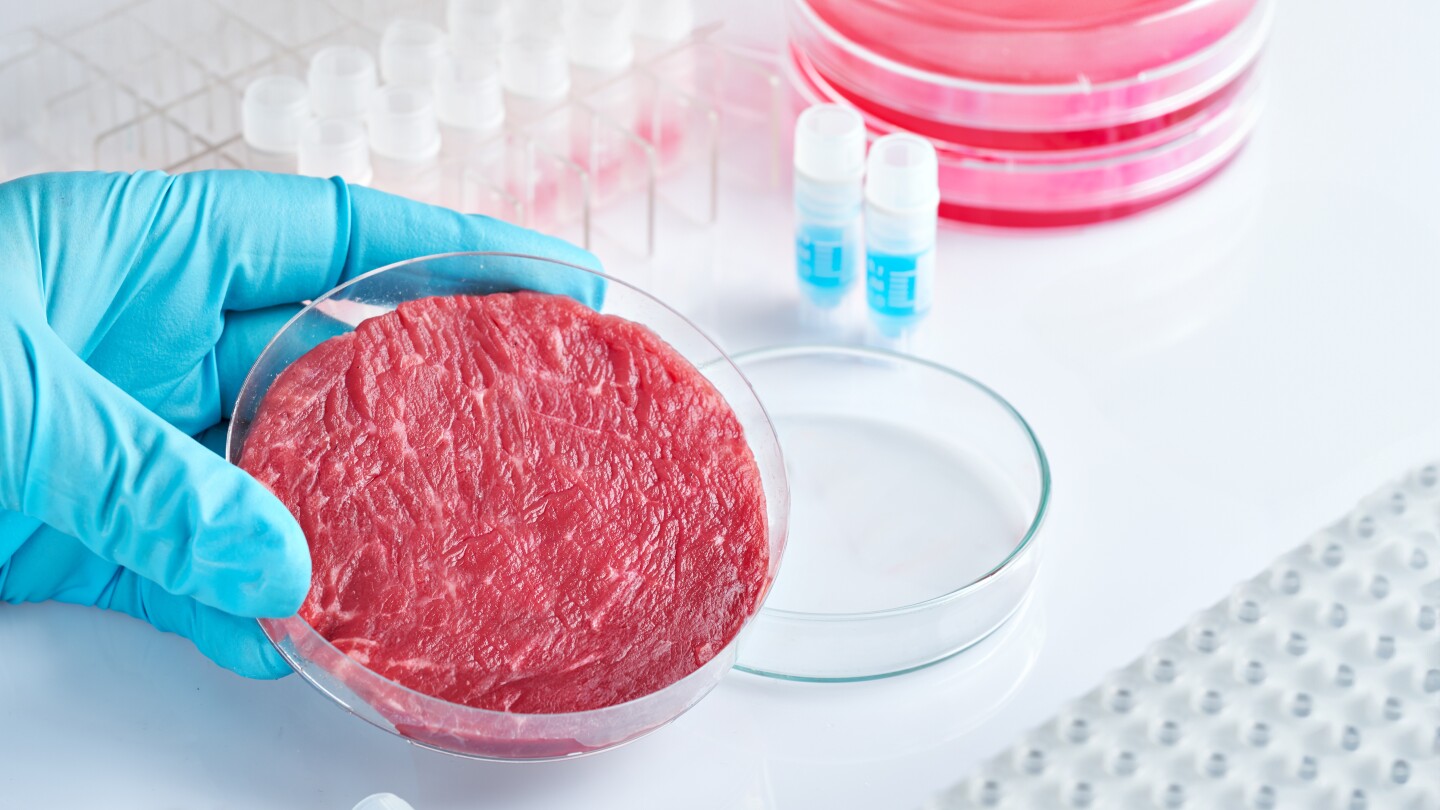 Florida Becomes First State to Ban the Sale of Lab-Grown Meat - Drovers