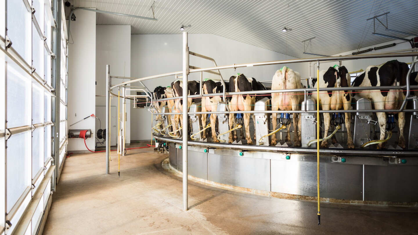 Quality Control: Good Habits Produce Better Milk - Dairy Herd