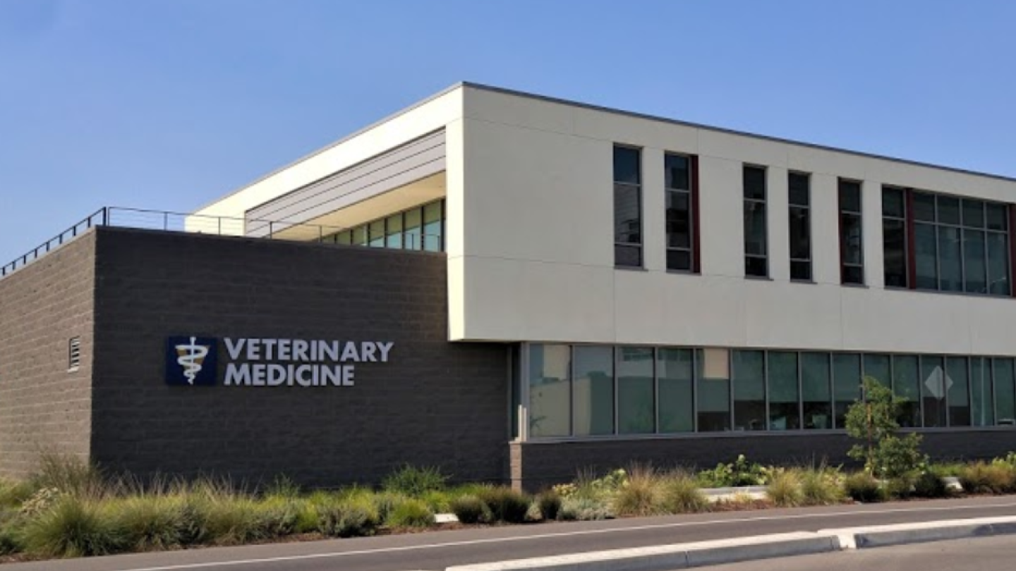 Two U.S. Veterinary Medicine Programs Rank In Top 10 For The World ...