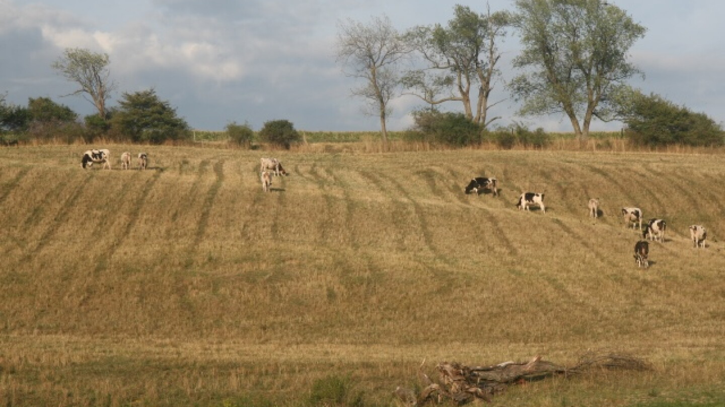Study: Montana's Average Temperature Continues to Increase - Drovers
