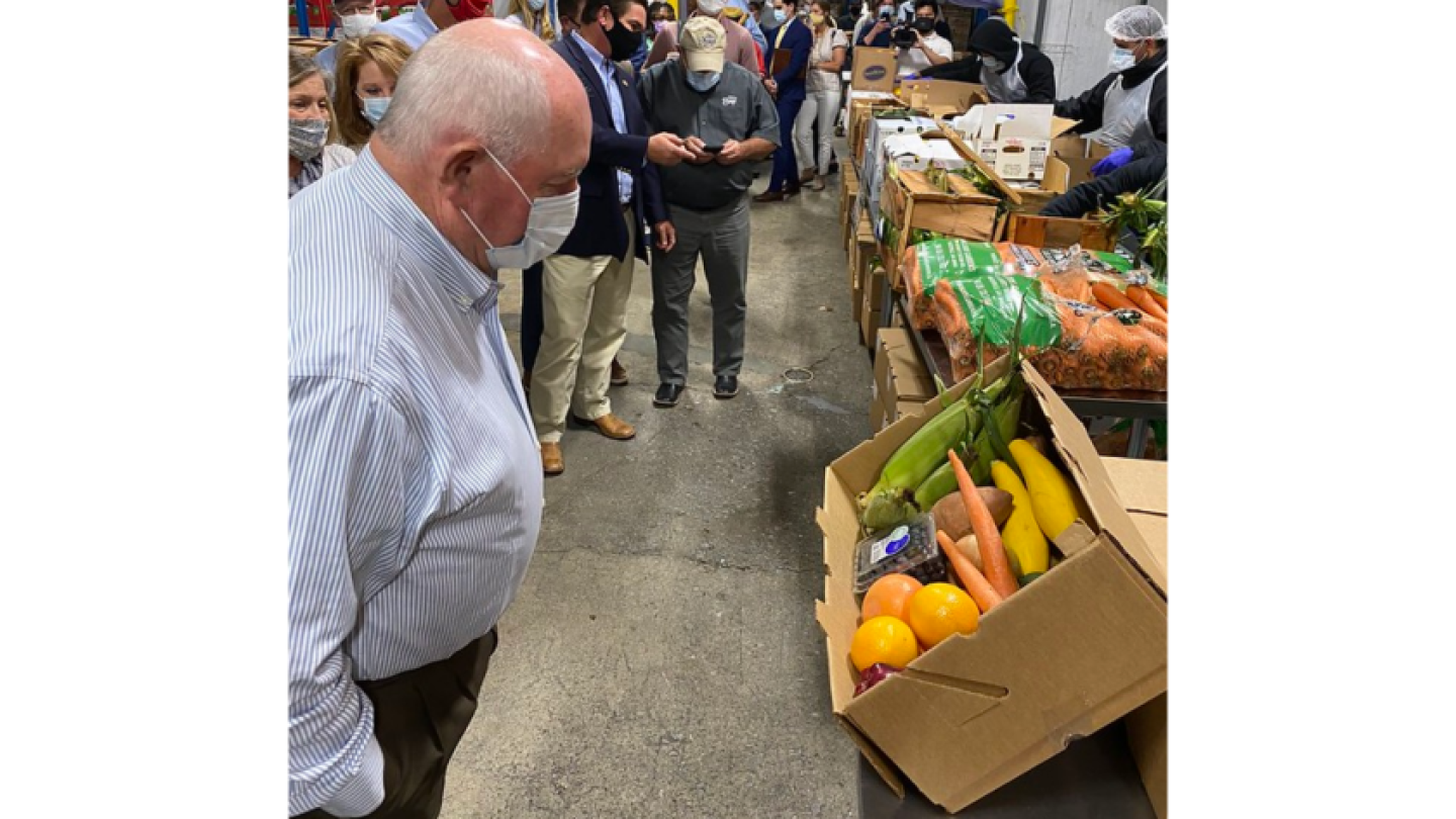 Keeping and improving the food box program - The Packer - Fruit and ...