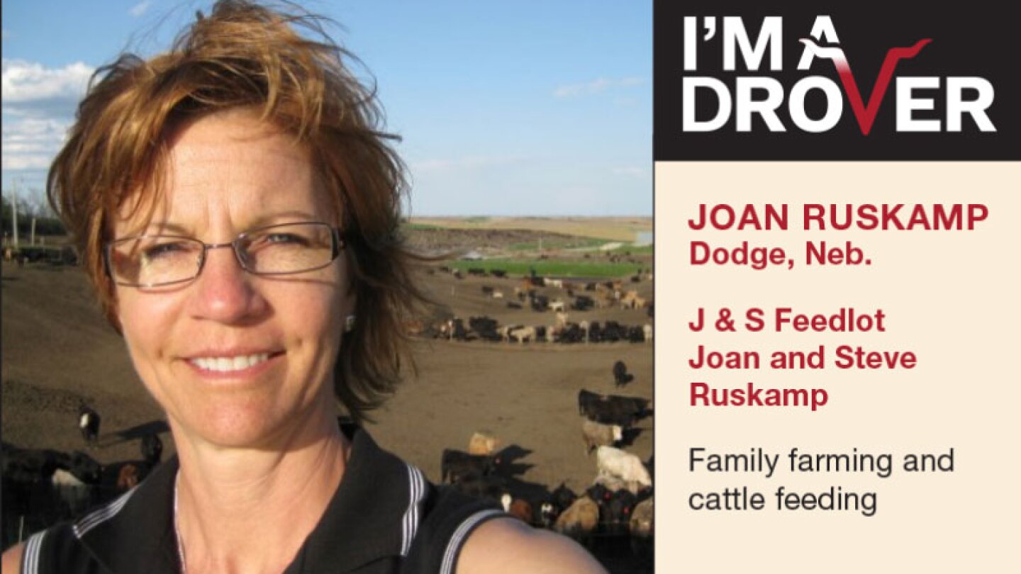 I'm A Drover: Telling Beef’s Story - Drovers