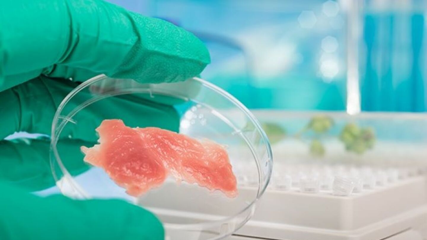 Jeff Bezos Donates $30 Million to Develop Fake Meat - Drovers