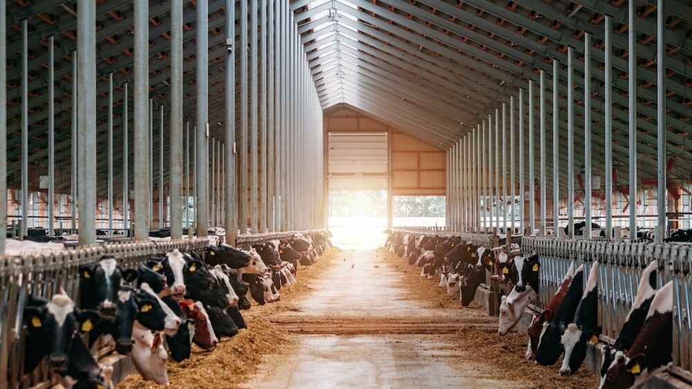 Suntado Breaks Ground on New Shelf-Stable Milk Plant in Idaho - Dairy Herd Management