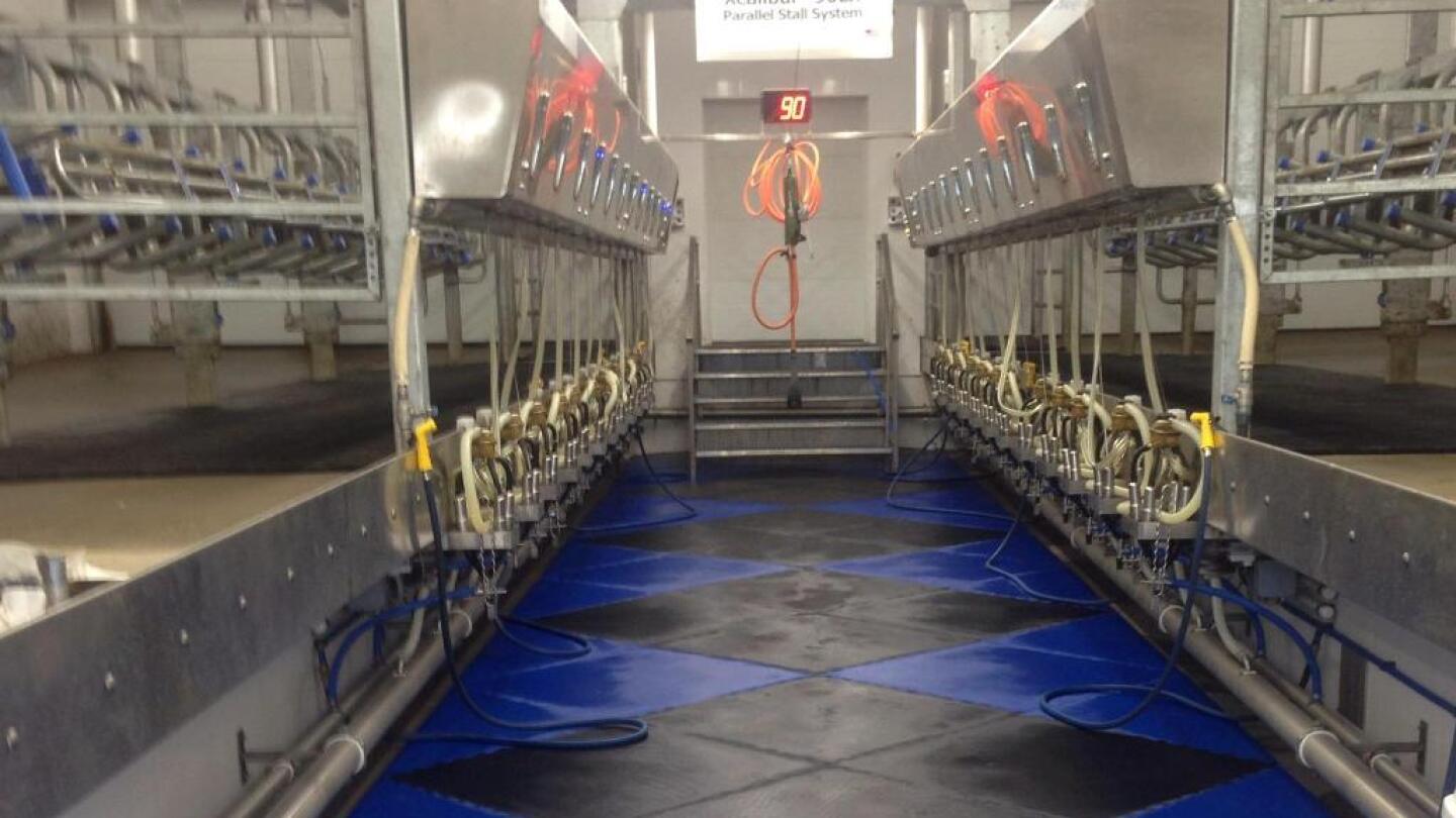 Building New Barn Helps Wisconsin Dairy Grow - Dairy Herd