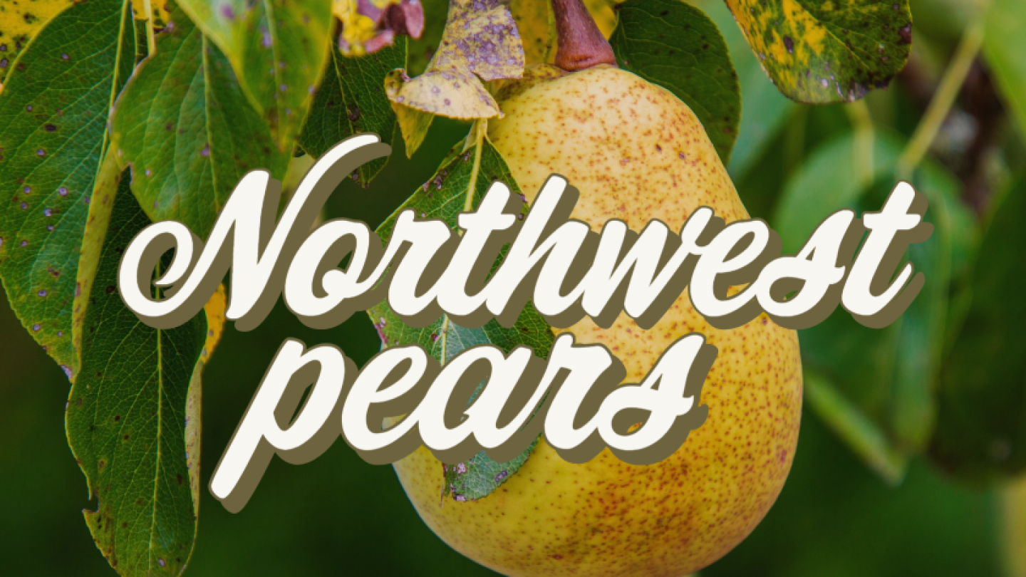 Northwest fresh pear industry shares 2023 crop estimate and promotions ...
