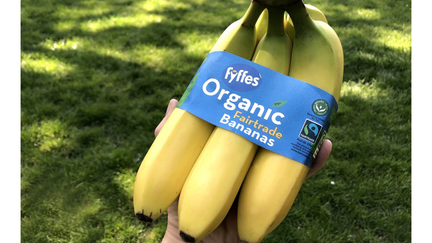 Fyffes releases first sustainability report and commits to reducing ...