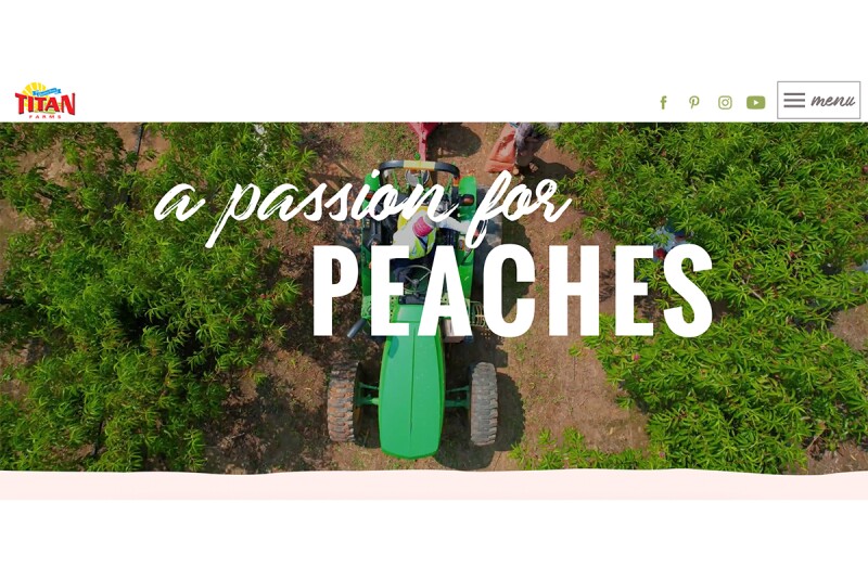 Titan Farms launches revamped website - The Packer - Fruit and ...