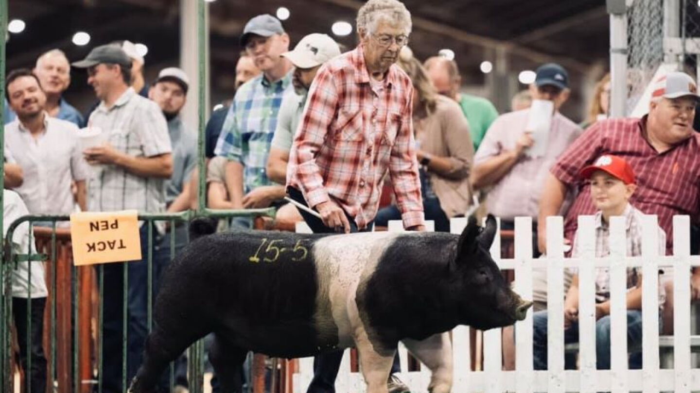 Grandma’s Still Got It: 92-Year-Old Pig Showman Gets Back in the Ring ...