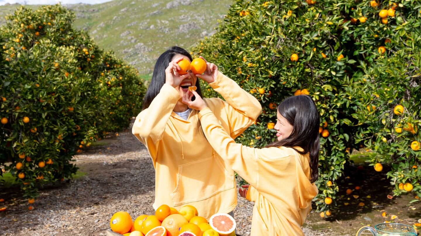 Sunkist unveils ‘Everywhere, Every Day’ strategy - The Packer