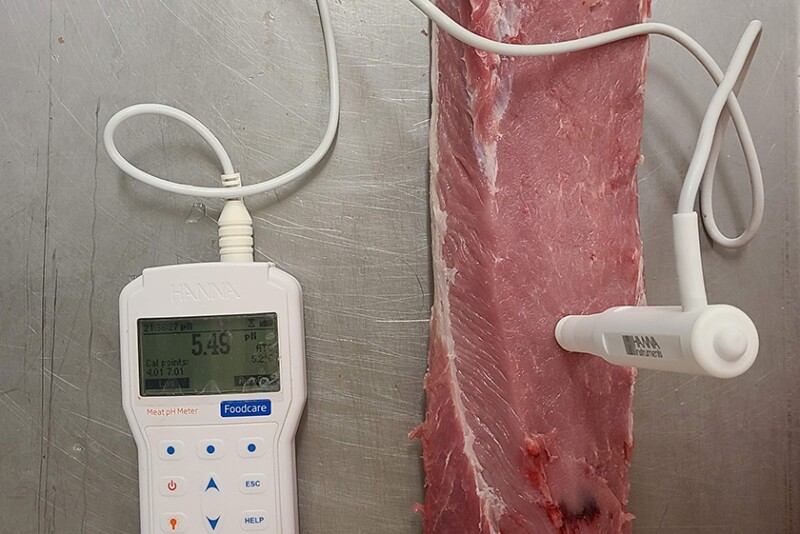 meat ph meter