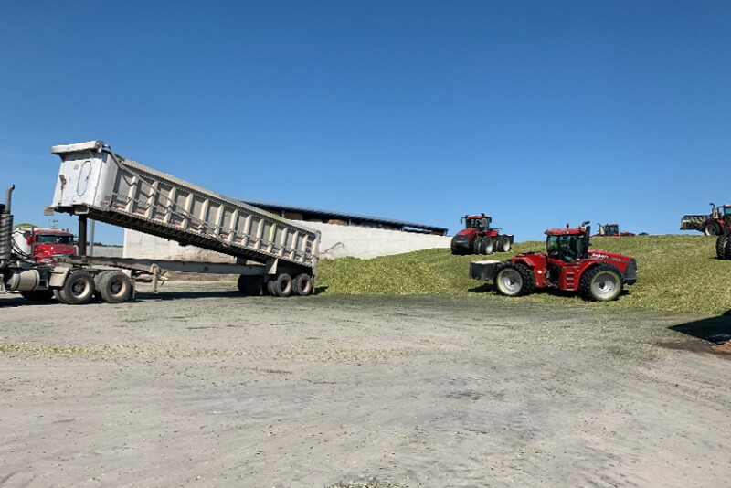 Facility Focus: Summer Silage Storage and Bunk Management - Dairy Herd ...