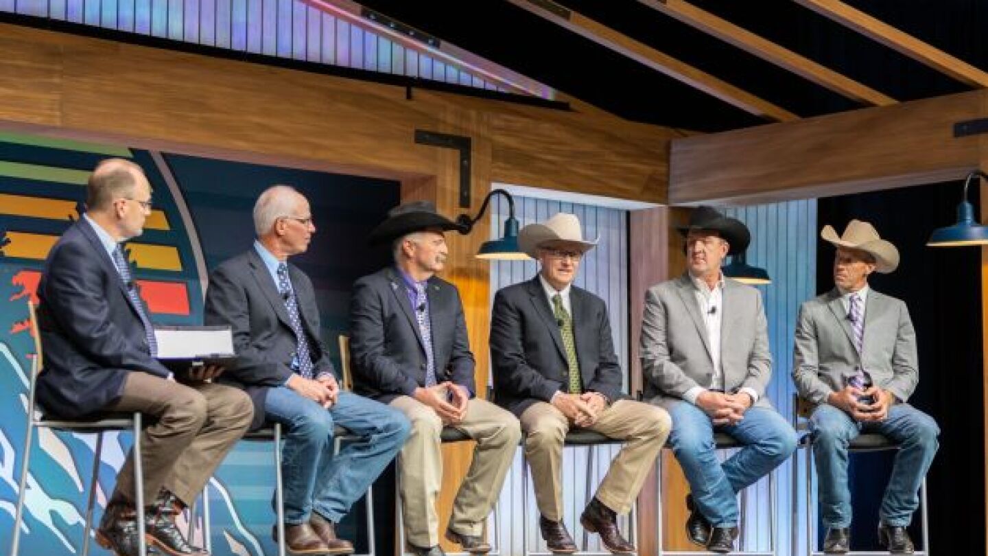Beef Industry Panel Shares Insight on Future Challenges and ...
