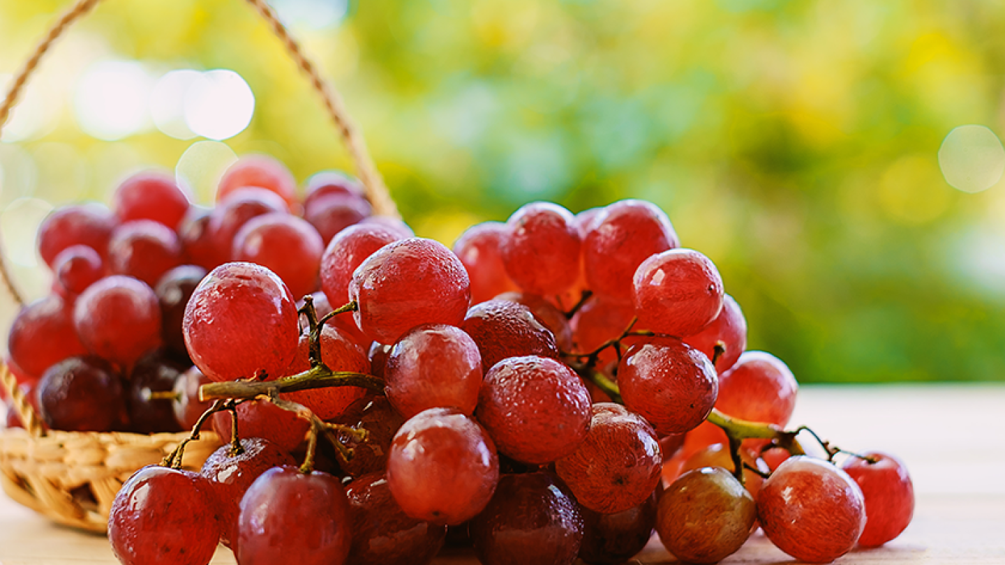 North American importers of Chilean grapes seek approval of systems approach - The Packer ...