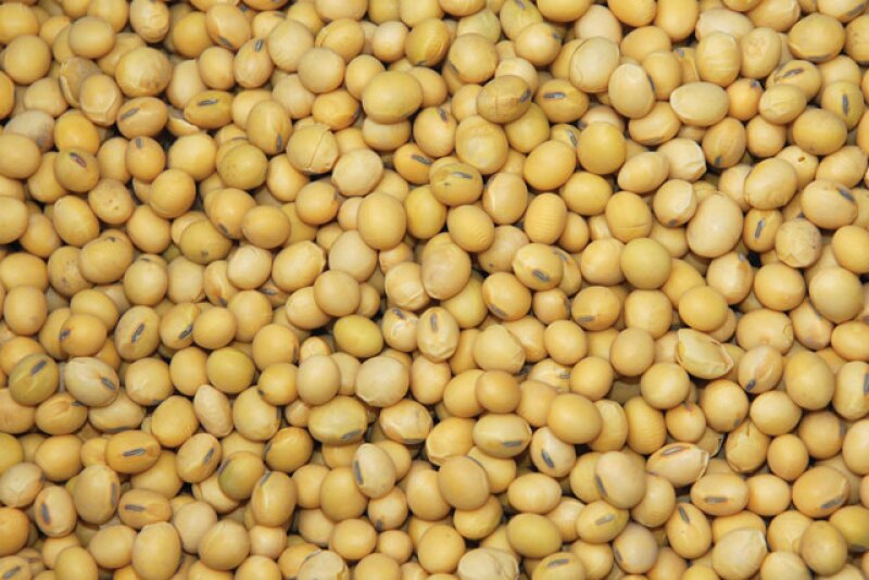 China to Buy 12 Million Metric Tons of Soybeans This Season, Bessent ...