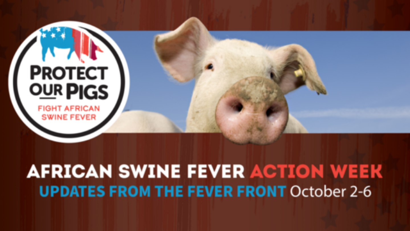 USDA's Third Annual African Swine Fever Action Week Set to Begin Oct. 2
