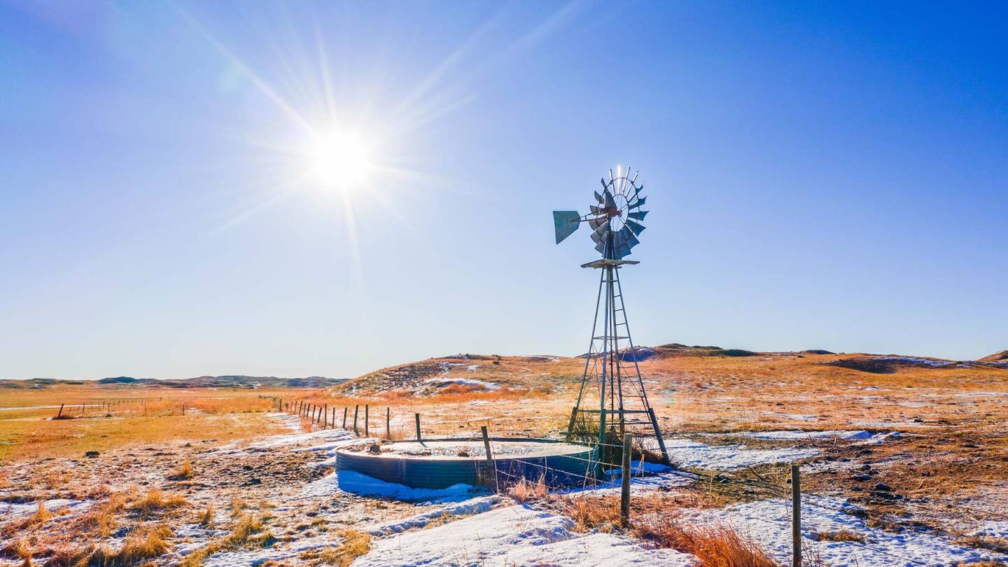 Colorado's Kessler Out At State Vet Board After Calling Ranchers 'Lazy'