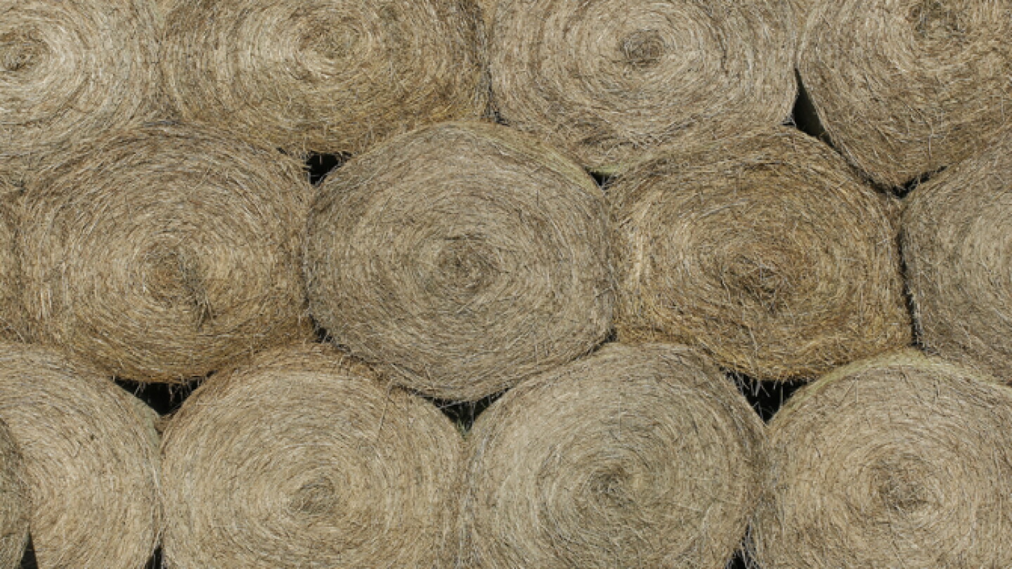 Data Shows Larger Hay Supply and Lower Hay Prices - Drovers