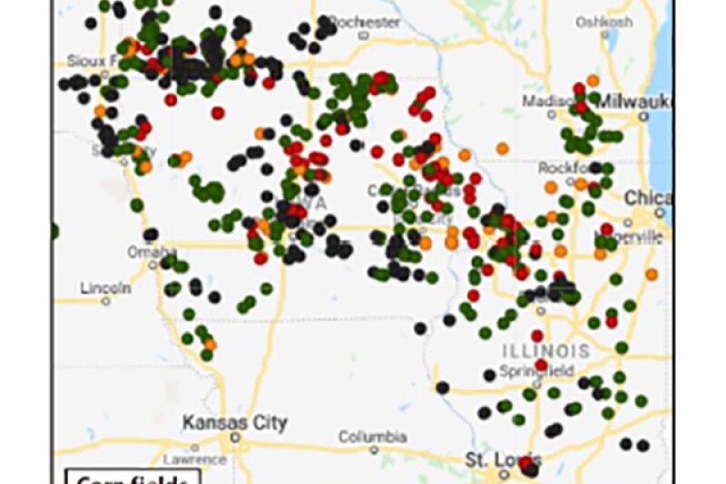 Corn Rootworm Pressure To Persist In 2021 For Corn Belt