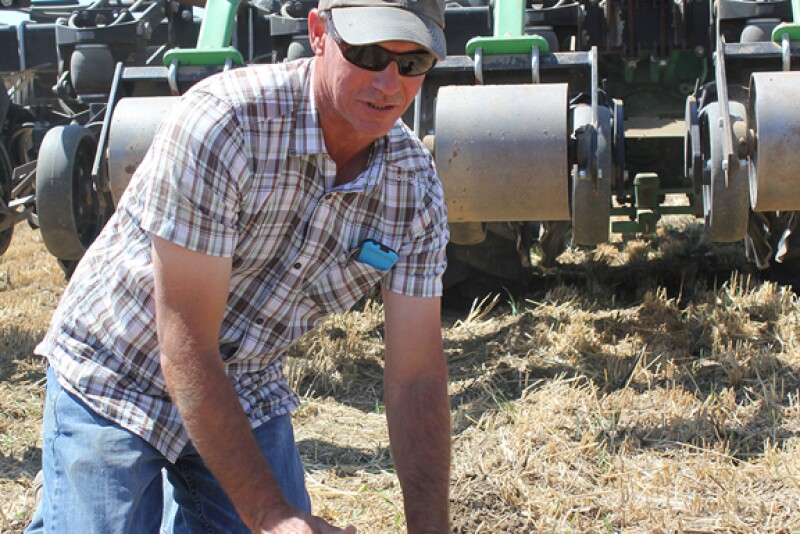 Conservation Tillage Aids California Dairy Farmer during Drought - The ...
