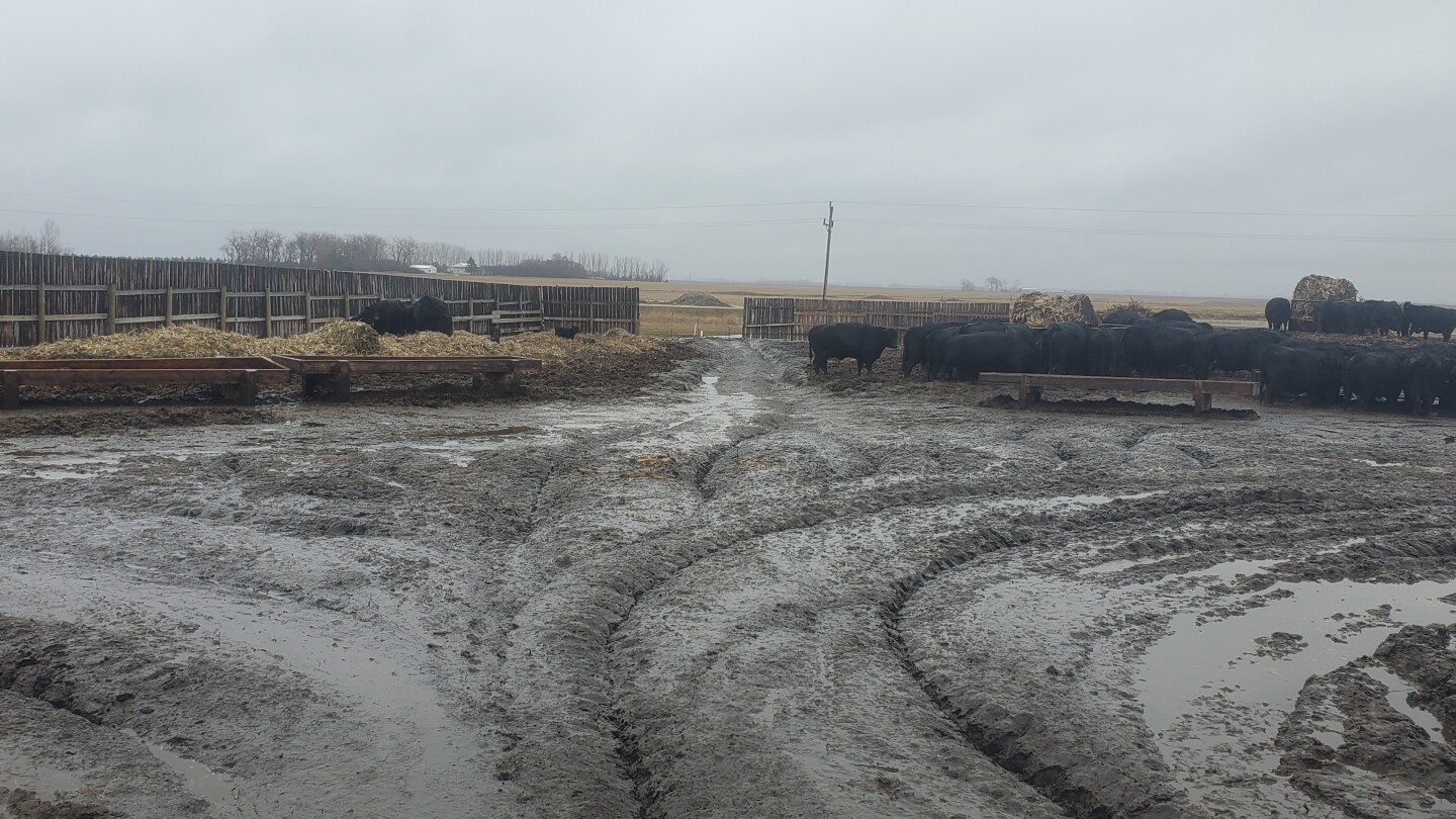 Beware of Mud Season - Drovers